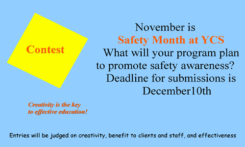 YCSEOnline -- Safety Contest